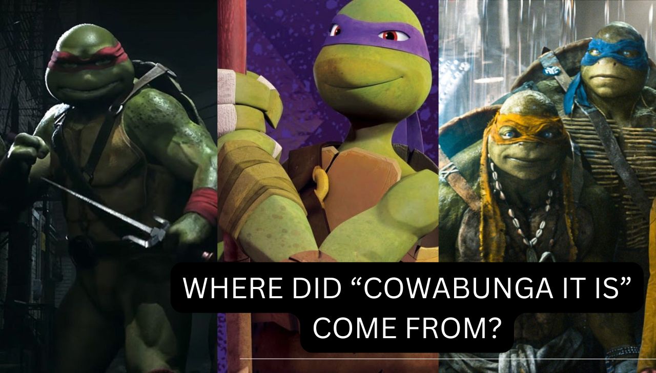 Cowabunga It Is – Meaning, Origin and Usage Explained Clearly – Meaning ...